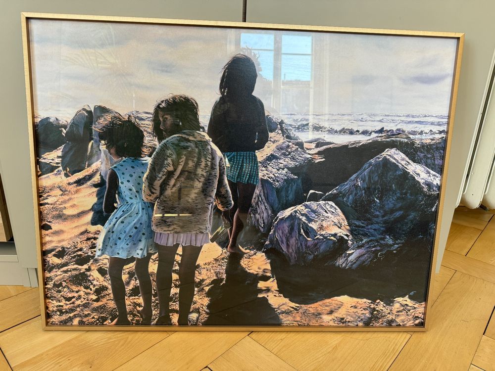 Bild Franz Gertsch in Alpha Nielsen Rahmen Pure Gold 60 x 80 | Kaufen auf Ricardo