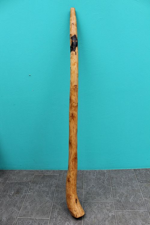 Didgeridoo Yidaki C# 187cm aus Hartholz mit Artwork (Gebraucht) in ...