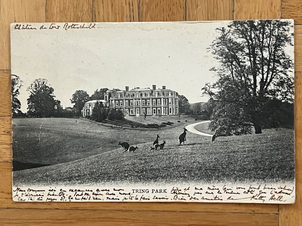 Chateau de Rothschild, Tring Park 1905 (Gebraucht) in Romanshorn für ...