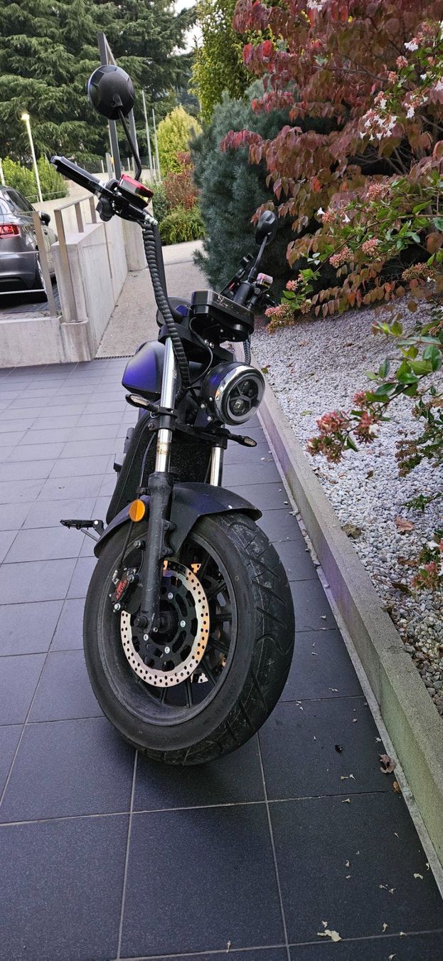 Ridelec Ghost Biker Chopper elettrico 45 km/h 2400 km (Gebraucht) in ...