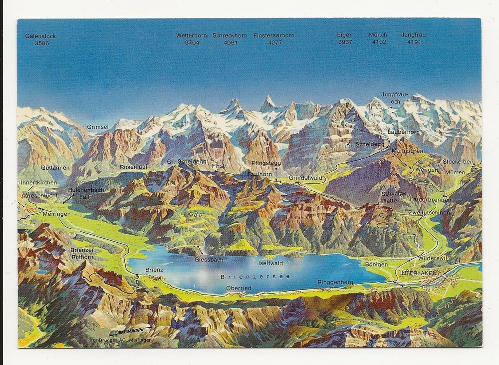 PANORAMAKARTE: BRIENZERSEE/BERNER OBERLAND | Kaufen auf Ricardo