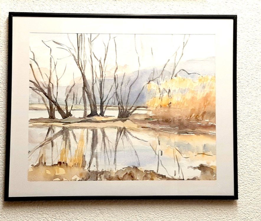 Aquarell Alter Rhein Landschaft (Neu (gemäss Beschreibung)) in Flaach für CHF 70 – nur Abholung ...