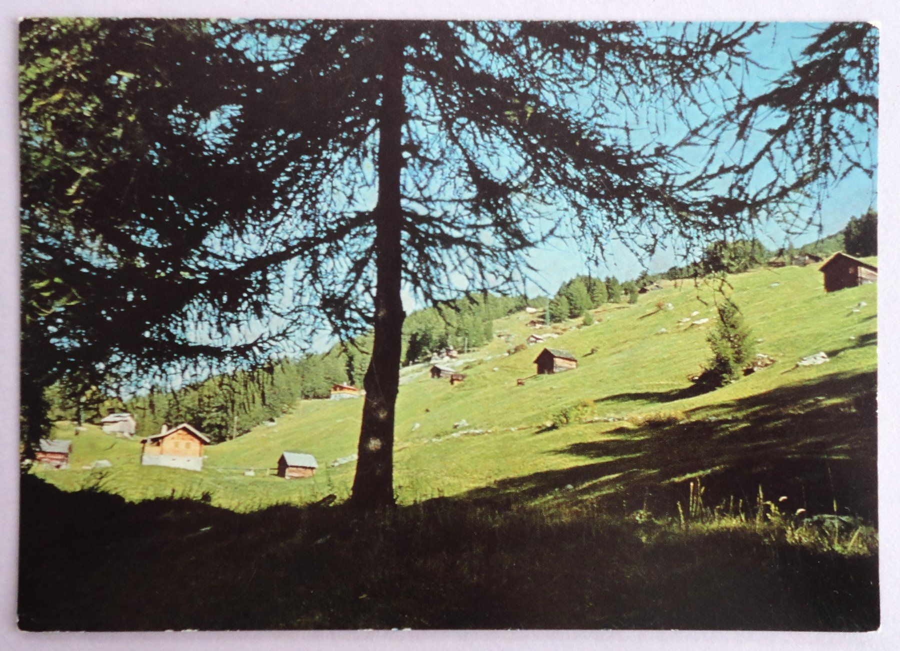 Veysonnaz Alt. 1300 m (D'occasion) à Fétigny pour CHF 1 – avec ...