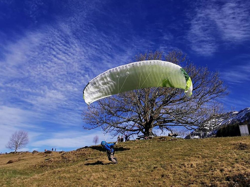 Gleitschirm Skywalk Arriba 3 XS Grün zu verkaufen (Gebraucht) in Chur für CHF 900 – mit ...