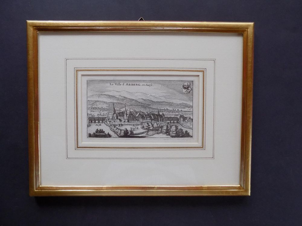 Aarberg Scheuchzer Goldrahmen (Gebraucht) in Risch für CHF 215 – mit Lieferung auf Ricardo kaufen