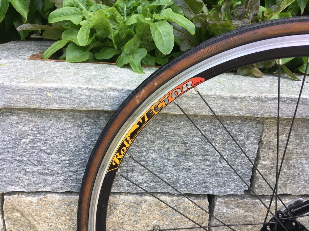 Rennvelo TREK 2200 Alpha SL (Gebraucht) in Lenzerheide/Lai für CHF 240 ...