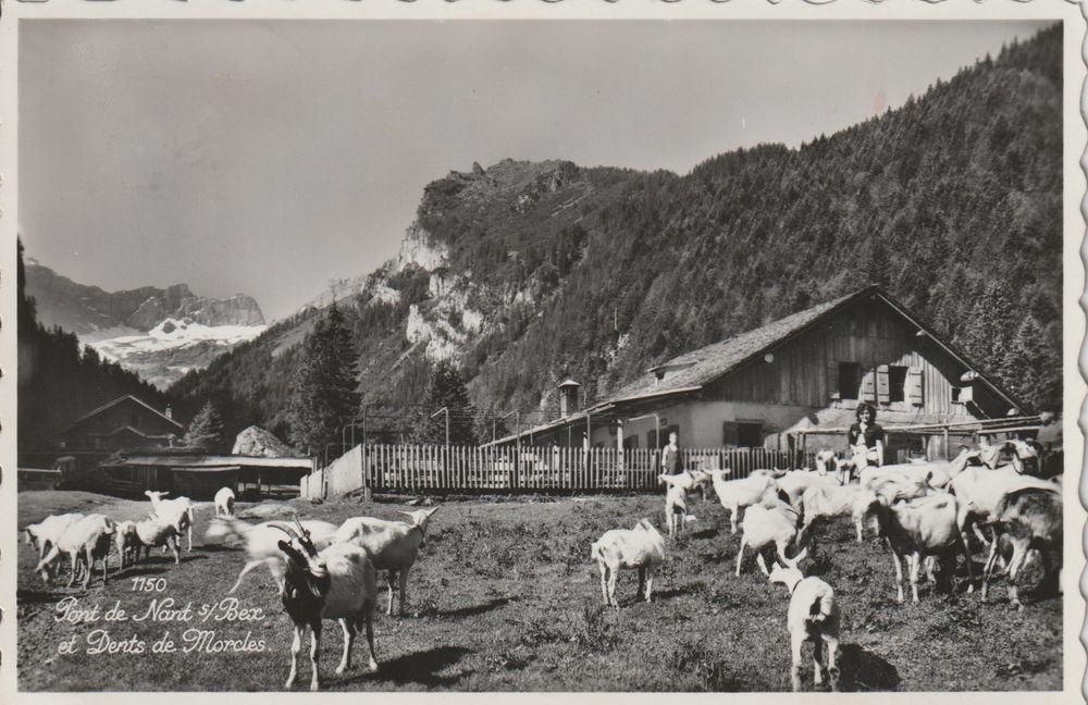 VD 60 Pont de Nant sur Bex et Dents de Morcles, 1950 (Gebraucht) in ...