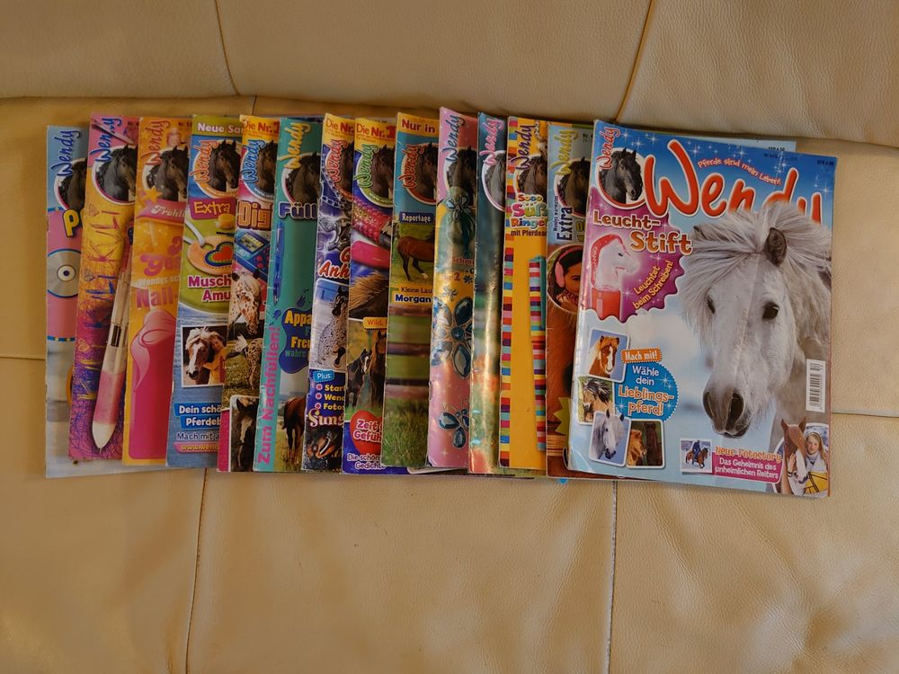 Wendy Hefte (Gebraucht) in Lengnau AG für CHF 9 – mit Lieferung auf Ricardo kaufen