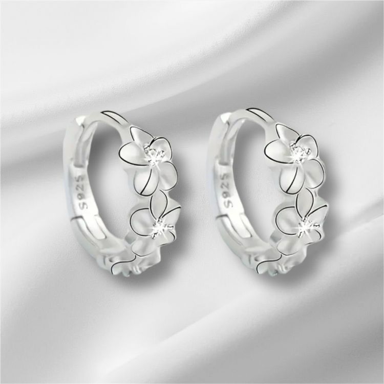 Ohrring 24karat v. (Neu und originalverpackt) in Hemmental für CHF 39 – mit Lieferung auf ...