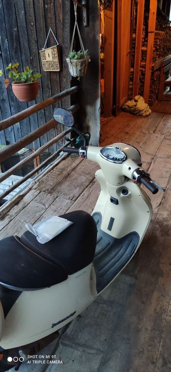 Malaguti Yesterday Roller 45Kmh 50ccm Ab 15 Jahren (Gebraucht) in ...