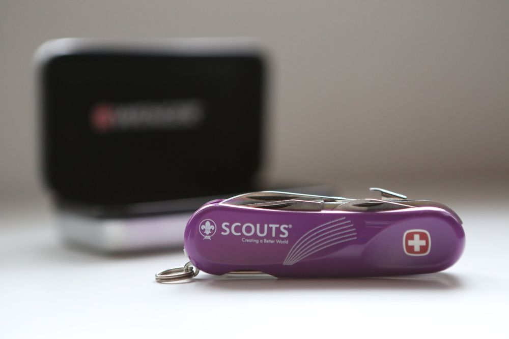 Wenger Evolution S18 Scout | Kaufen auf Ricardo