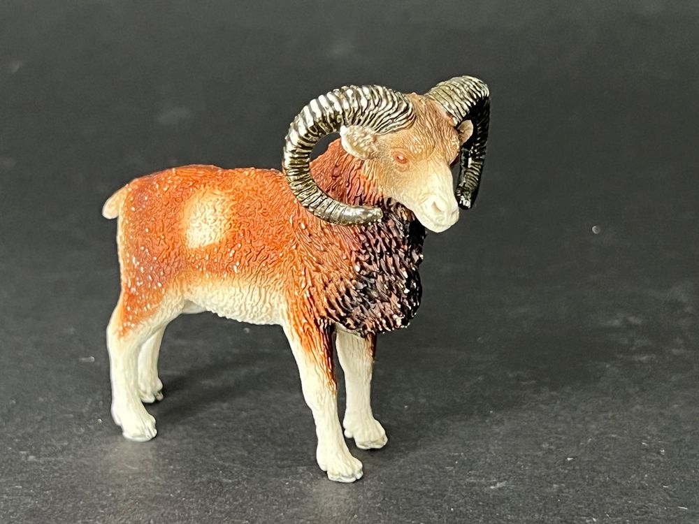Schleich Mufflon Widder Muflon (Gebraucht) in Ennetbaden für CHF 12 – mit Lieferung auf Ricardo ...