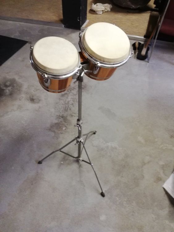 Bongos mit Ständer | Kaufen auf Ricardo