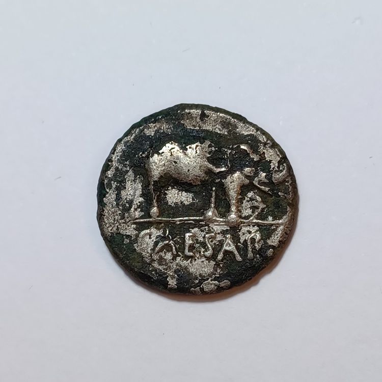 Denar Julius Caesar Elefant 49-44 v. Chr. Römische Republik (Gebraucht ...
