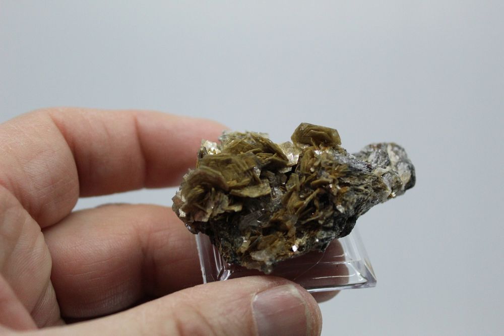 Muskovit mit matrix - muscovite sur matrice Valle Bedretto | Kaufen auf ...