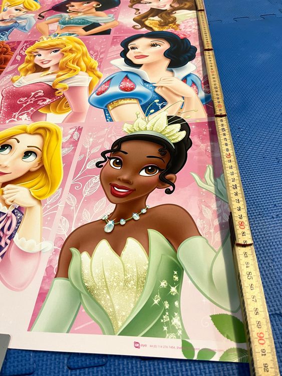 NEU grosses Disney Princess Poster 90x60cm in Rolle (Gebraucht) in Muri ...