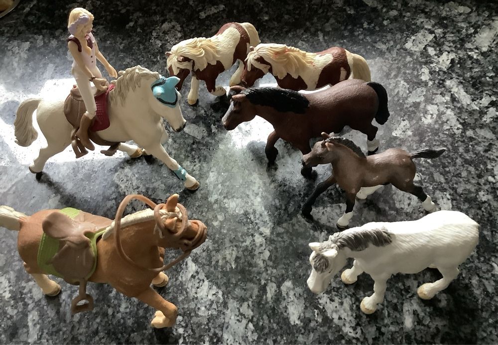7 Schleich Pferde und eine Reiterin | Kaufen auf Ricardo