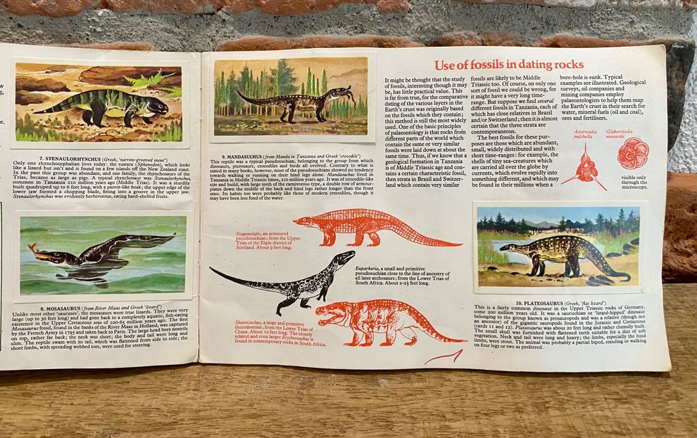 1972 Vintage Sammelbilder Album „ Dinosaurier “ aus England | Kaufen ...