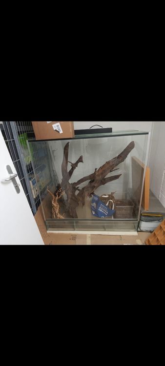 Grosses Terrarium mit viel Zubehör | Kaufen auf Ricardo Grosses Terrarium mit viel Zubehör | Kaufen auf Ricardo