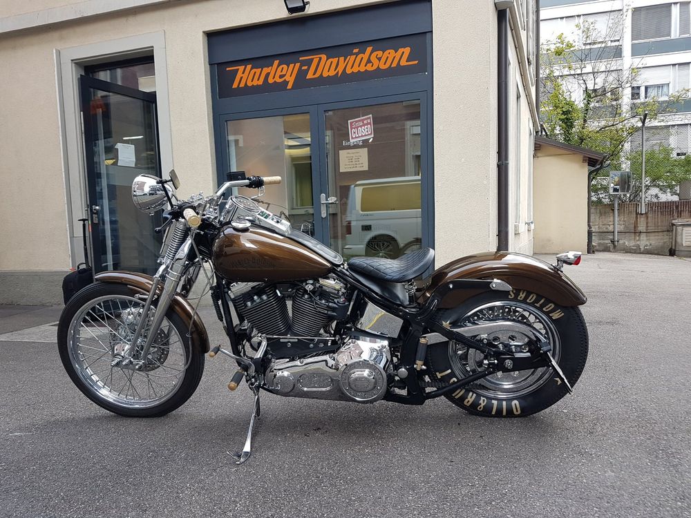 HARLEY-DAVIDSON FXSTS Springer Softail 1994, frisch ab MFK (Gebraucht ...