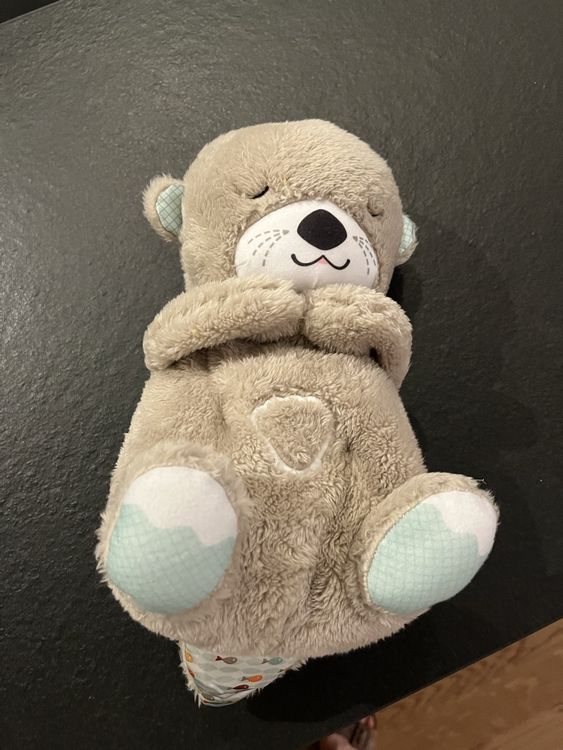 FisherPrice Schlummer Otter | Kaufen auf Ricardo