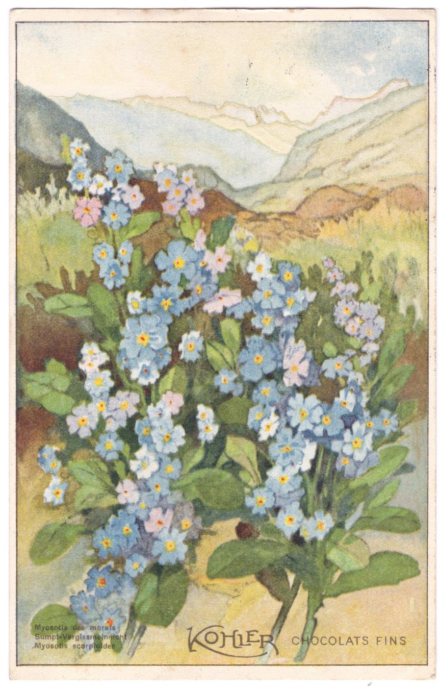 Heimat Thurgau: Sitterdorf auf AK Chocolats Fins Kohler 1924 (Gebraucht ...