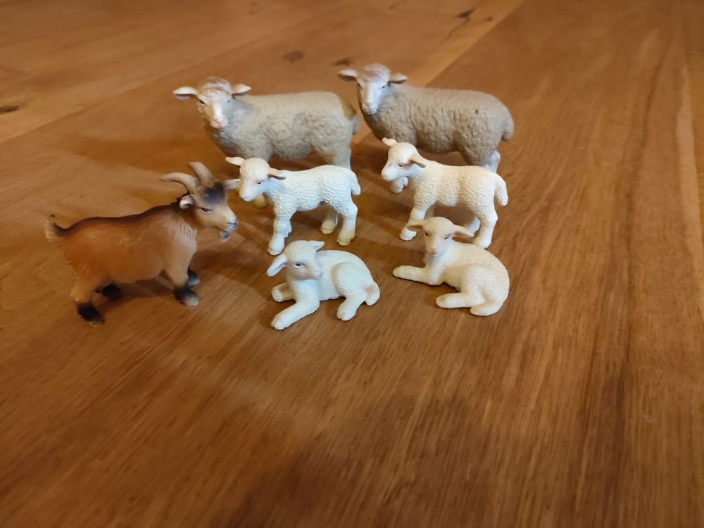 Schafe und Ziege von Schleich (Gebraucht) in Grabs für CHF 13 – mit Lieferung auf Ricardo kaufen