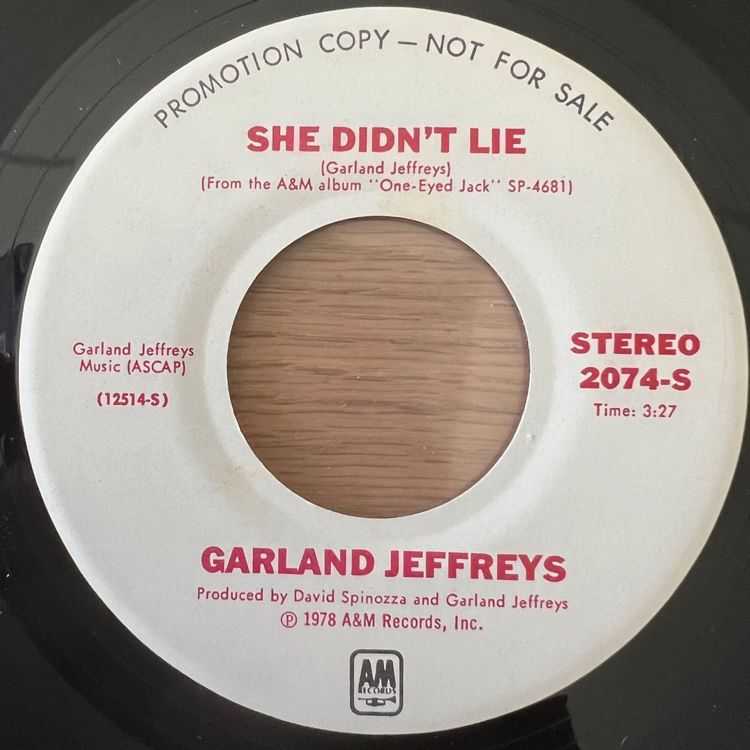 Garland Jeffreys - She Didn't Lie / US-Promo 1978 - TOP (Gebraucht) in ...