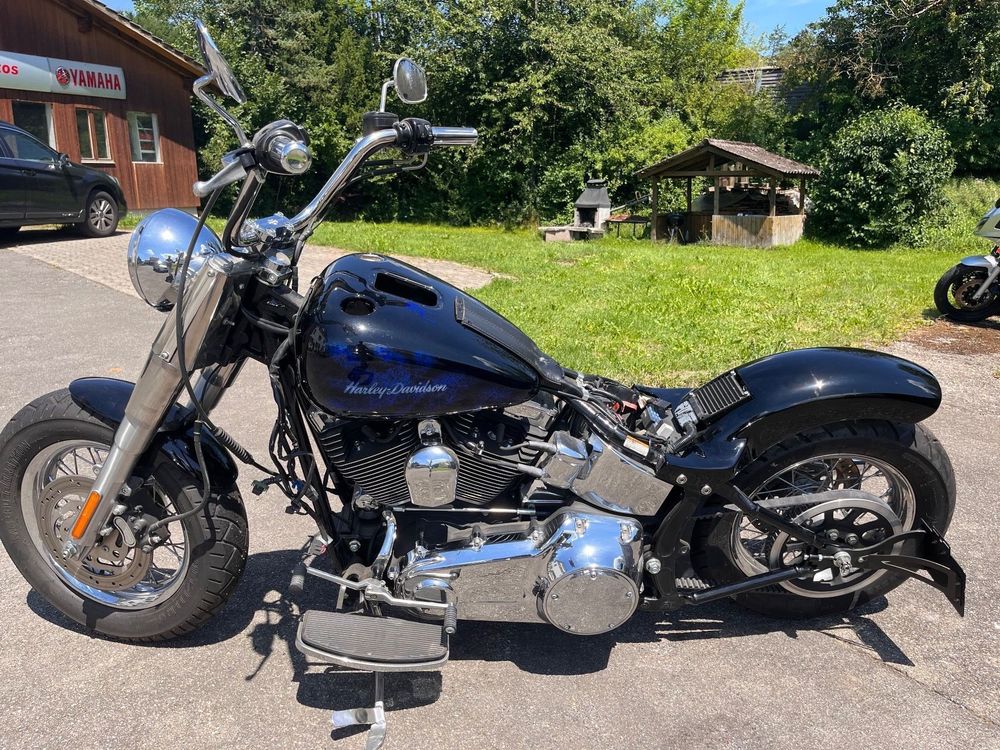 Harley-Davidson FLSTC Custom (Gebraucht) in Rafz für CHF 6110 – nur ...