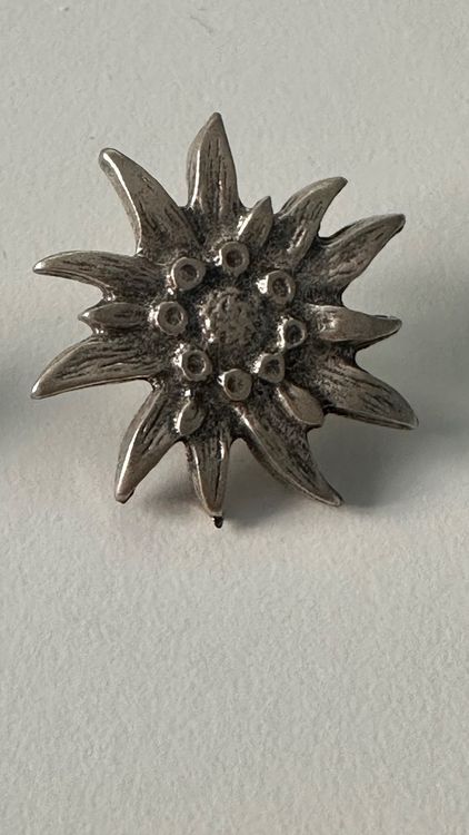Edelweiss gross Pin (Gebraucht) in Gutenswil für CHF 5 – mit Lieferung auf Ricardo kaufen