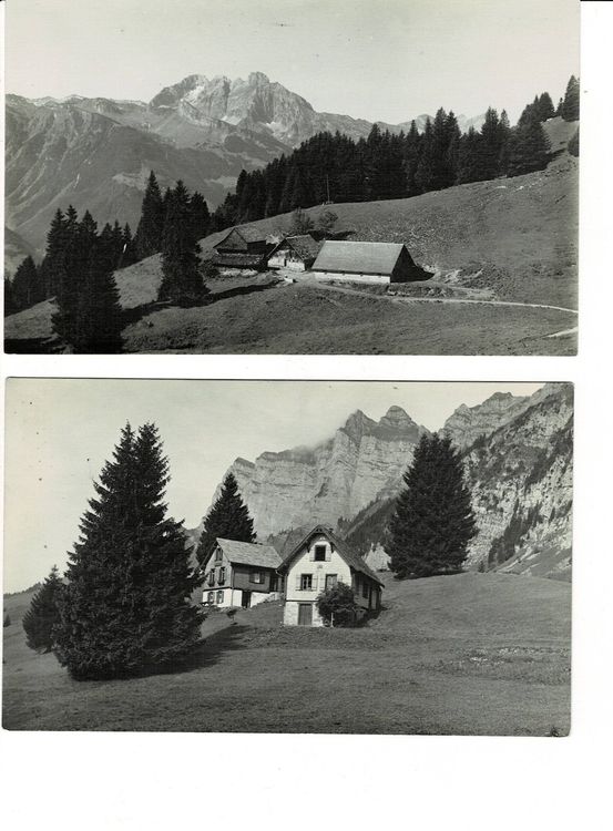 1ak Schrina Alp 1ak Partie Auf Schrina Hochrick Sg Ca 1920 Kaufen