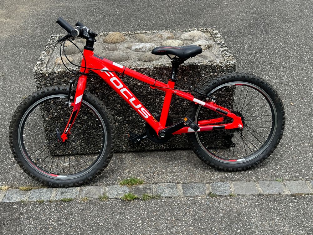 Focus Raven Rookie 20'' (D'occasion) à Le Lignon pour CHF 180 – retrait ...