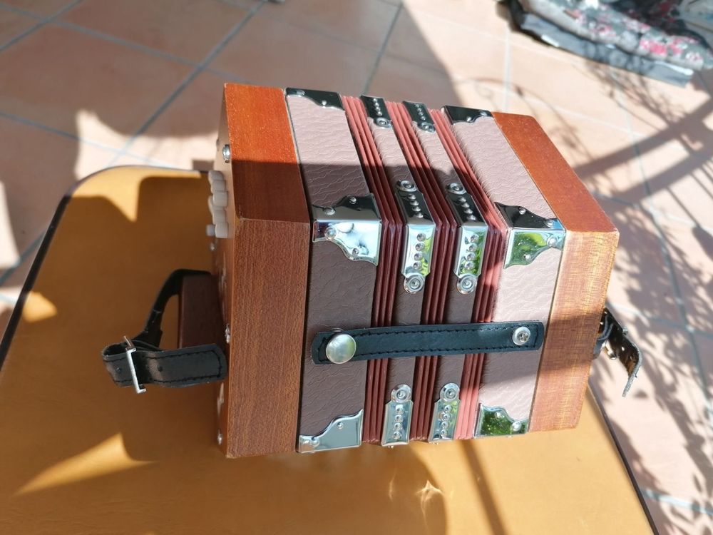 Concertina mini Handorgel (Gebraucht) in Oberburg für CHF 84 – mit ...