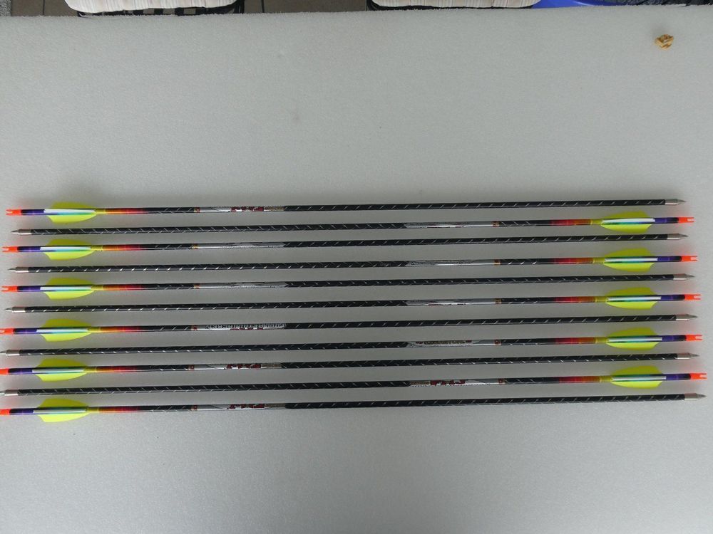 11 PFEILE EASTON FULL METAL JACKET 500 | Kaufen auf Ricardo