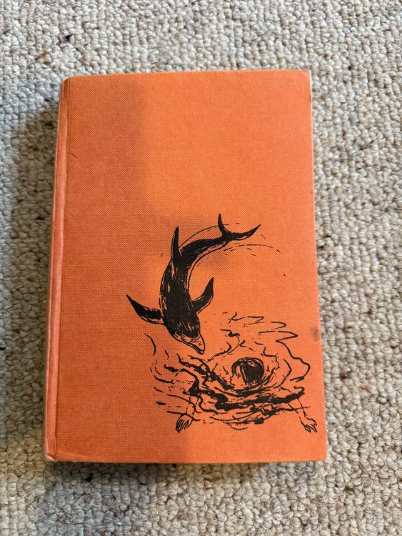 Flipper Kinderbuch "Als der Hurrikan kam" Teddy Parker (Gebraucht) in ...