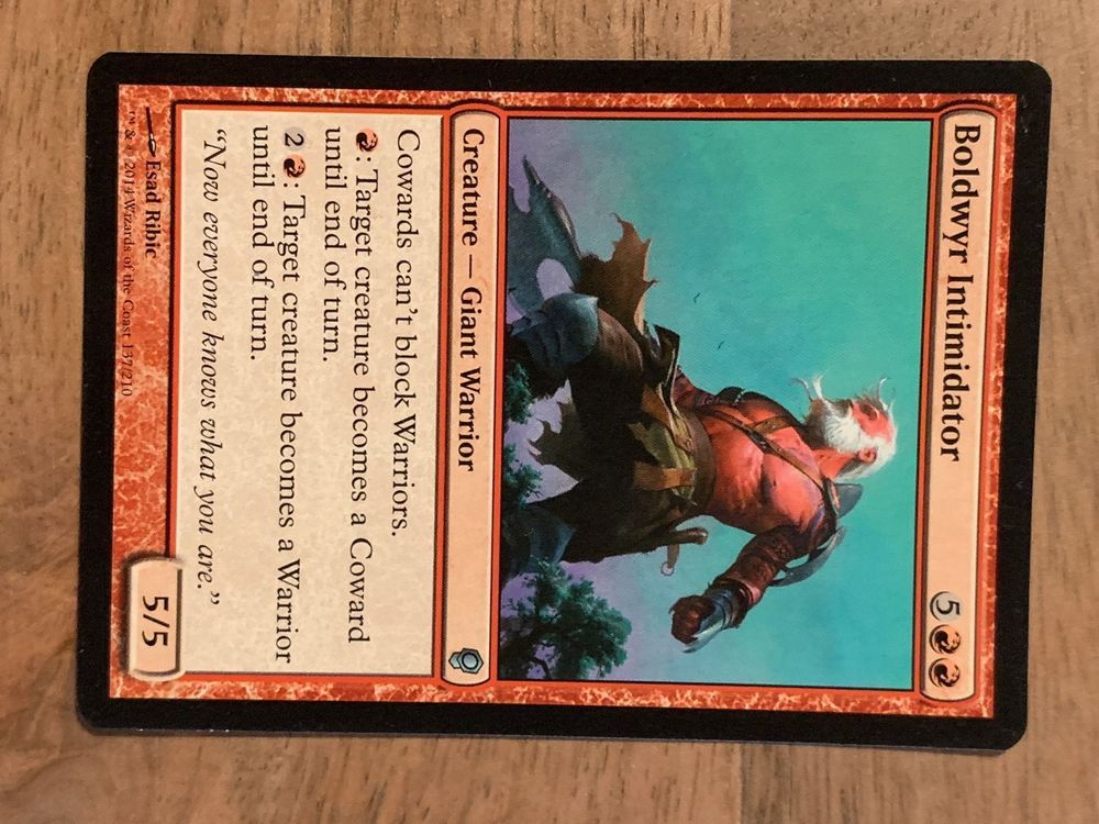 Boldwyr Intimidator | Kaufen auf Ricardo