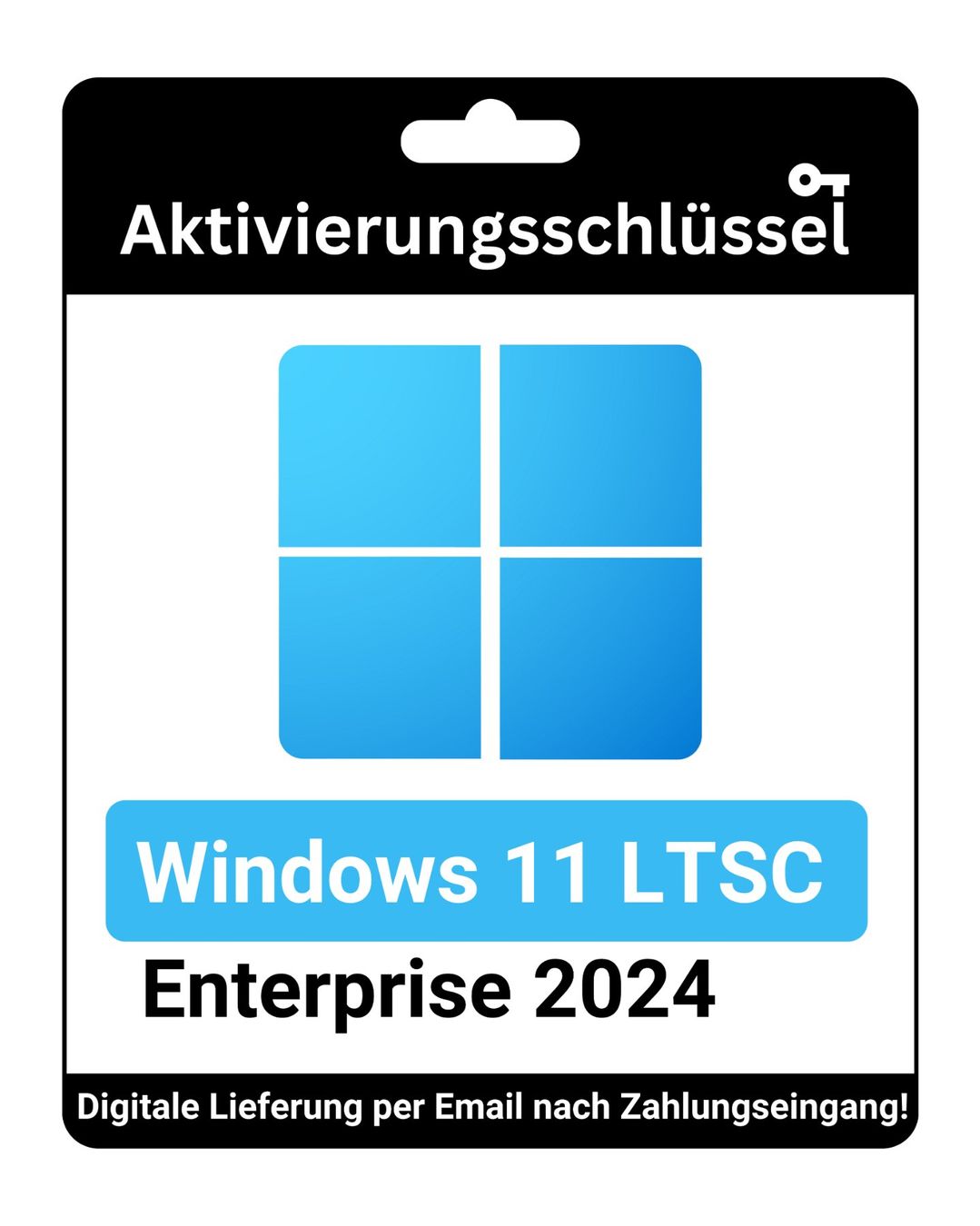 Windows 11 Enterprise 2024 LTSC | Digitale Zustellung (Gebraucht) in Zürich für CHF 15 – mit ...