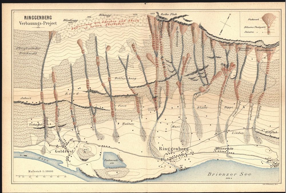 Ringgenberg Plan 1888 | Kaufen auf Ricardo