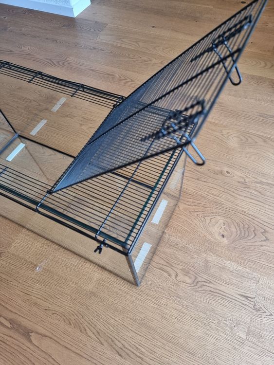 Mausekafig Aus Glas