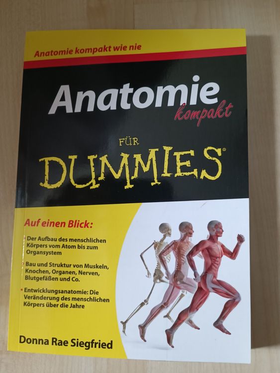 Anleihe Erklarung Fur Dummies