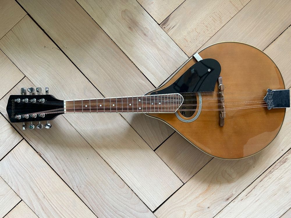 Mandoline Sherwood SHM25 (Gebraucht) in Lausanne für CHF 100 – mit ...