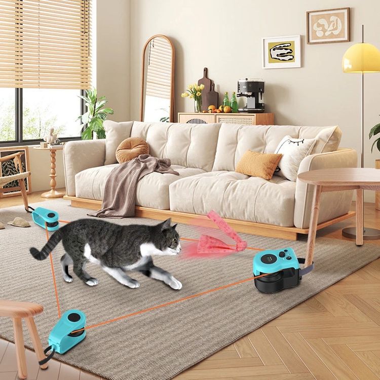 Pet Cat Chasing Toy (Neuf avec emballage d'origine) à Lausanne pour CHF ...