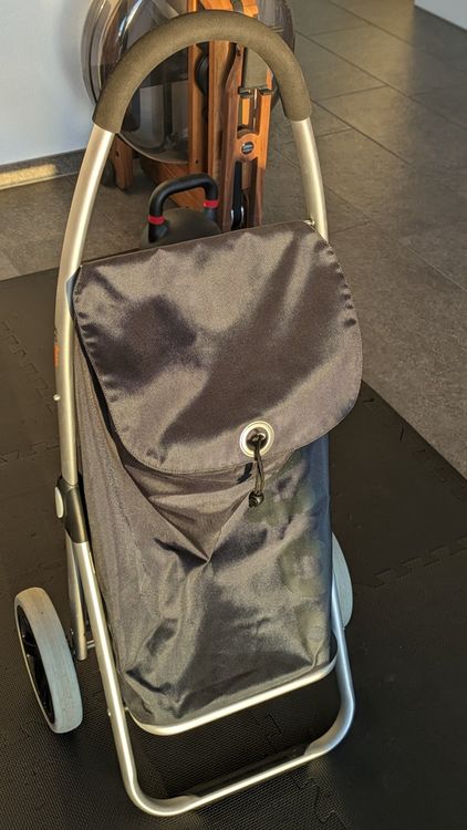 play Einkaufswagen / Trolley Go Two - Deluxe Variante | Kaufen auf Ricardo