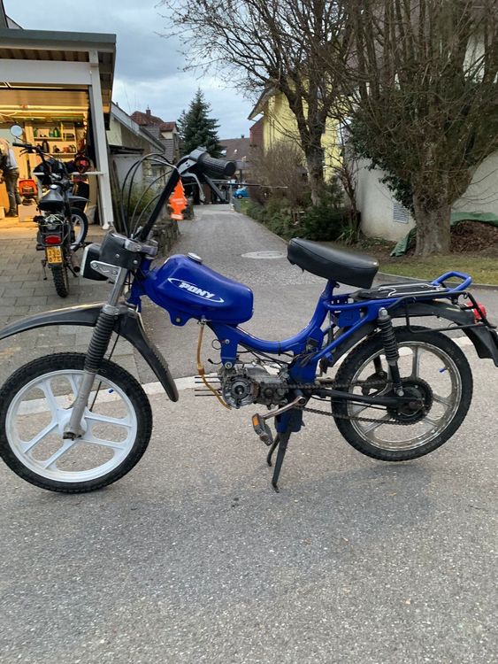 Pony Cross 521 | Kaufen auf Ricardo