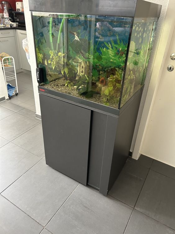 Aquarium 150l mit all inkl. (Gebraucht) in Biel/Bienne für CHF 100 ...