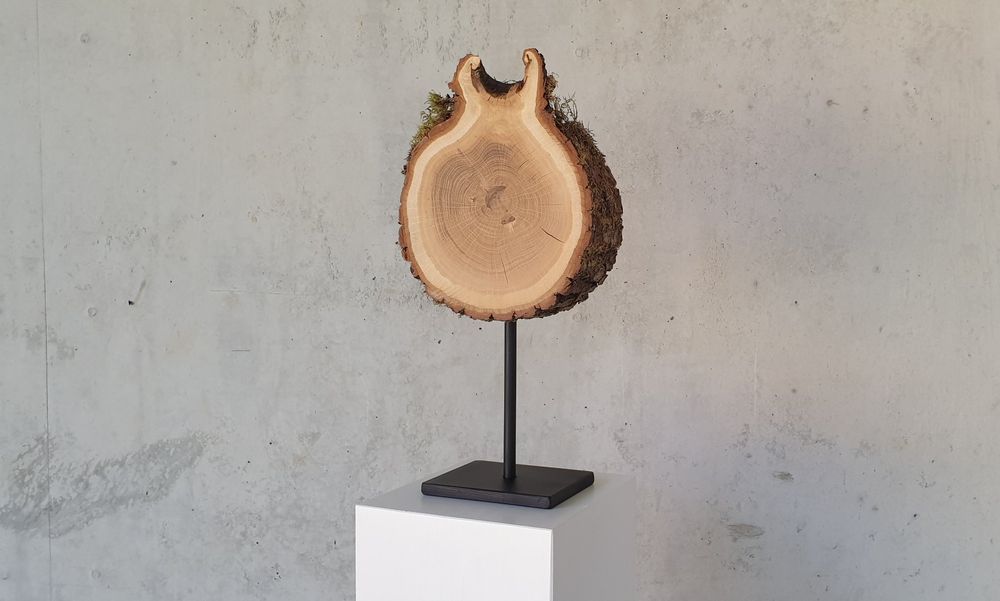 Skulptur Holzscheibe – Eiche mit Ast | Kaufen auf Ricardo
