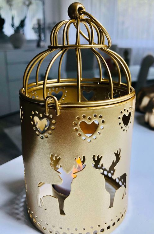 EINZELSTÜCK SONDERPREIS ‼️ Hirsch 🦌Deko Laterne goldig NEU (Neu und ...