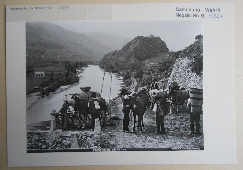 Gebrüder Wehrli. Weinernte im Wallis. Photographie. | Kaufen auf Ricardo