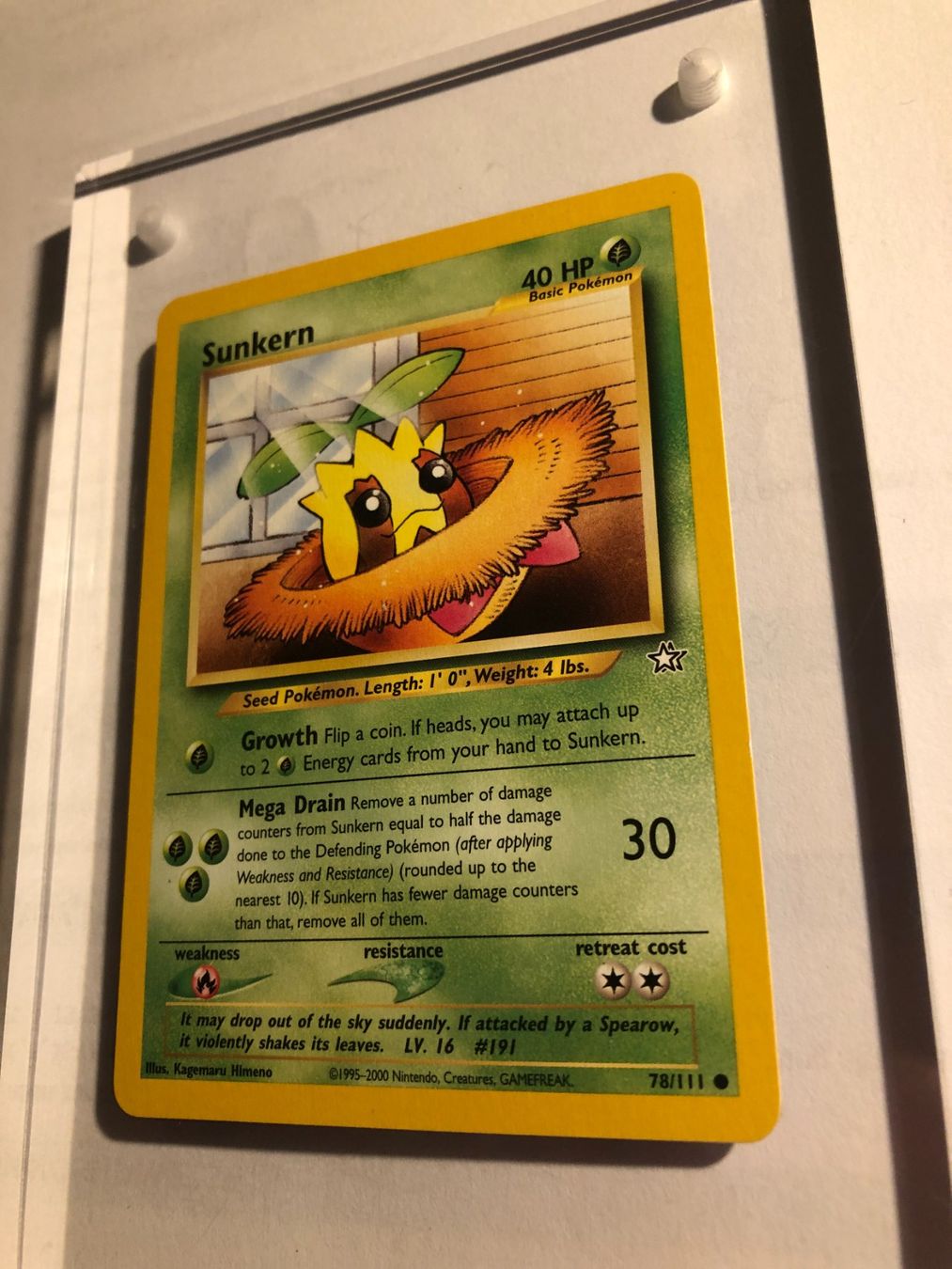 Sunkern Neo Genesis - MINT - ab 1.- (Usato) a Giubiasco per CHF 1 – con ...