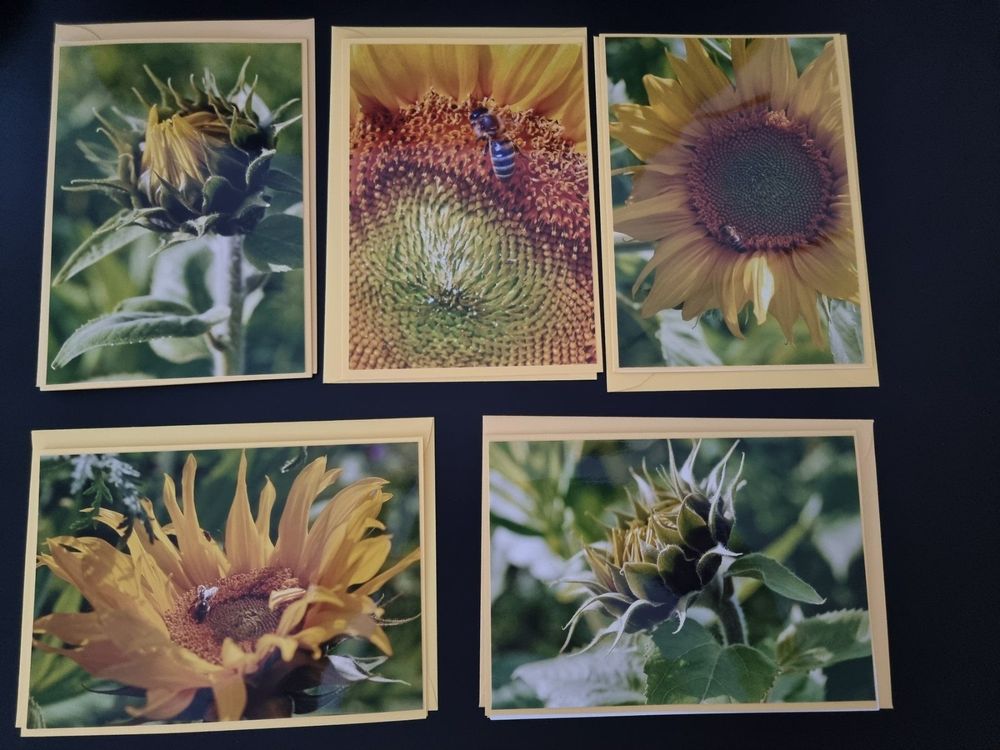 5 Karten / Motiv: Sonnenblumen (handgemacht) | Kaufen auf Ricardo
